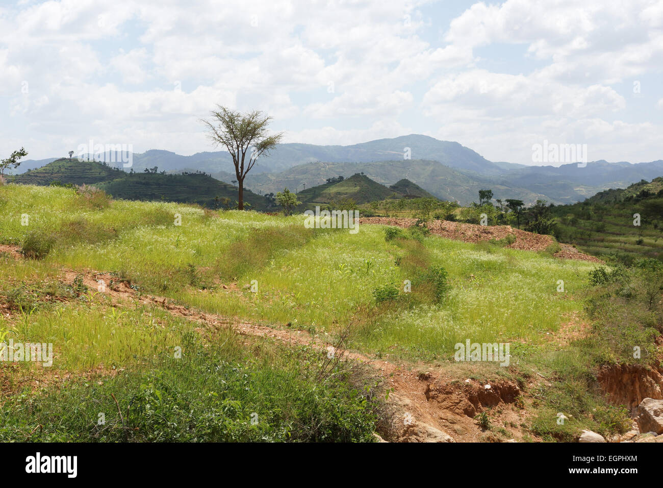Traditional terraced fields of Konso people, Ethiopia, Africa Stock ...