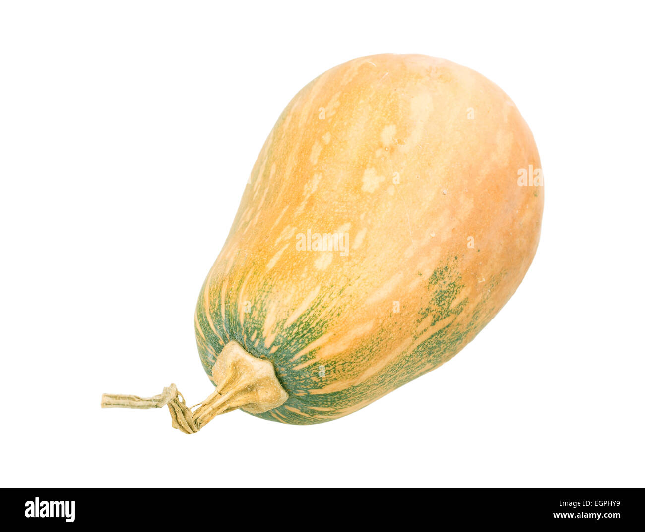 squash isolated on white background Stock Photo - Alamy