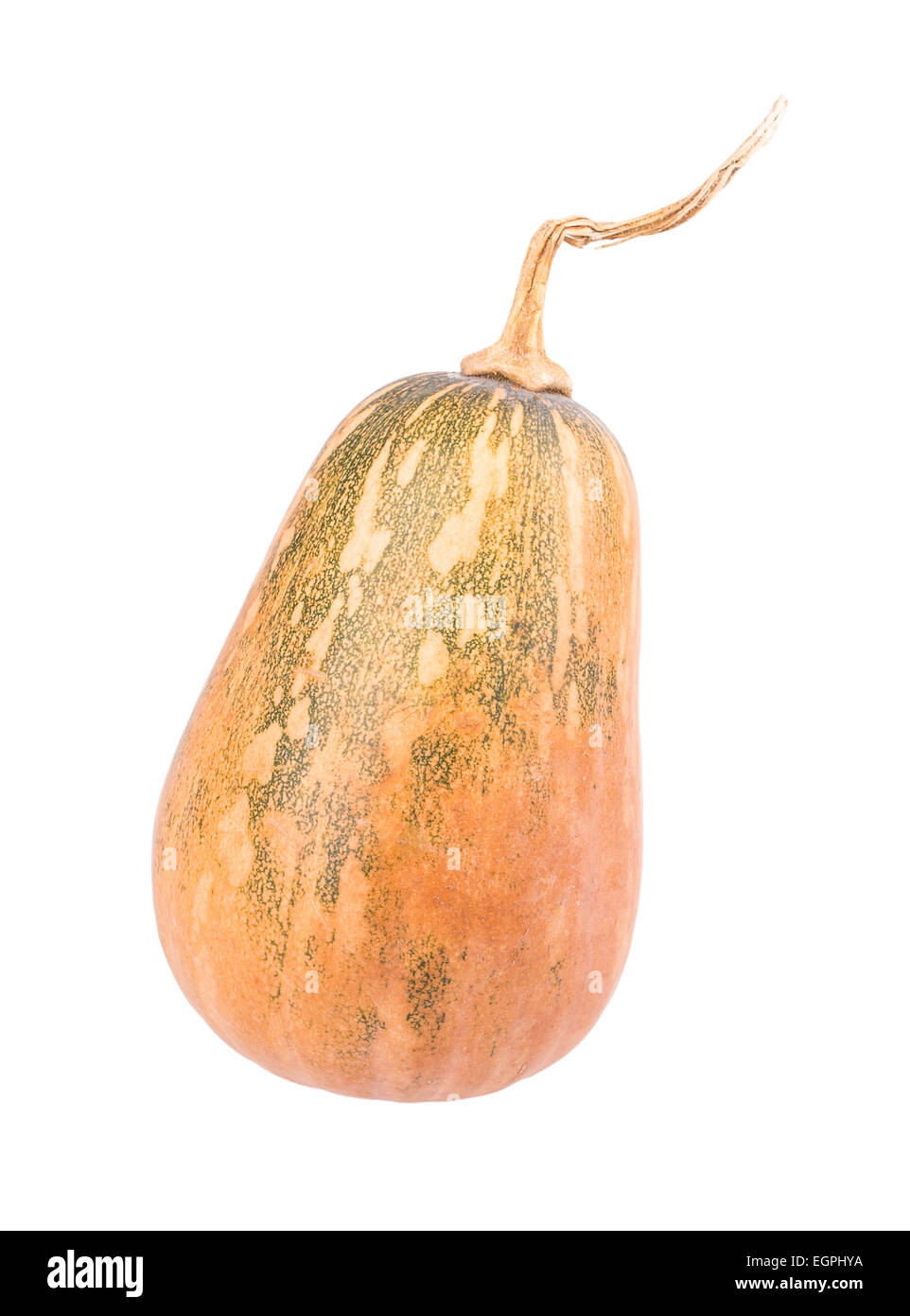 squash isolated on white background Stock Photo - Alamy