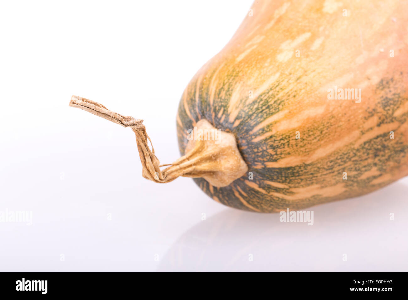 squash isolated on white background Stock Photo - Alamy