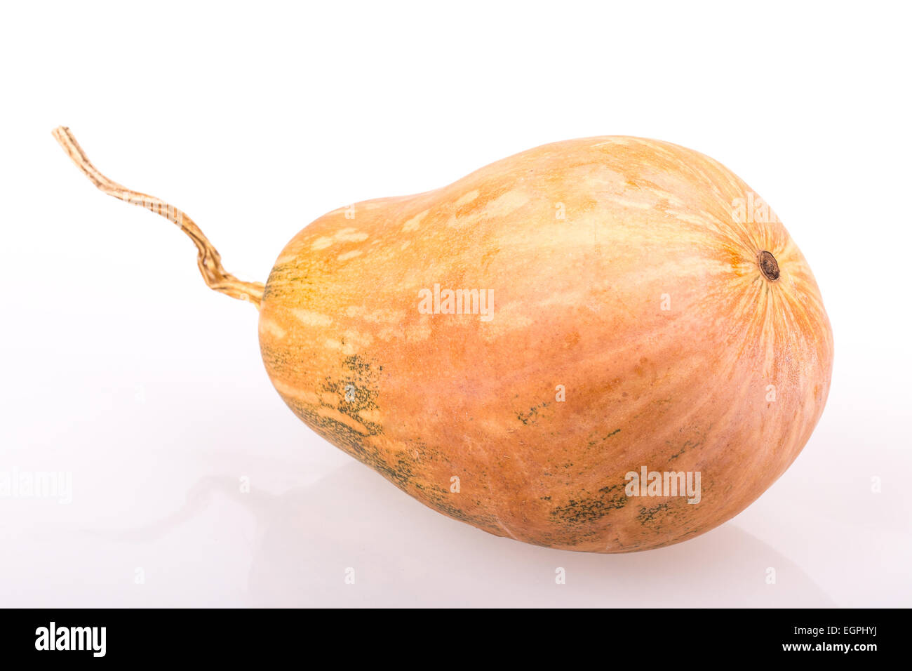 squash isolated on white background Stock Photo - Alamy