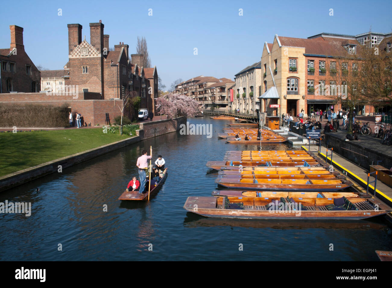 Cambridge Punting on the river cam from Magdalene Street bridge Stock ...