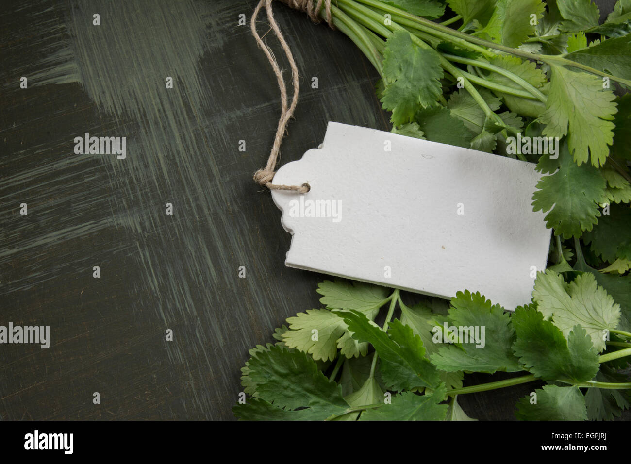 bouquet of fresh coriander or cilantro, price tag on white wooden ...
