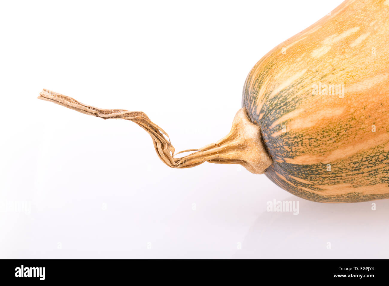 squash isolated on white background Stock Photo - Alamy