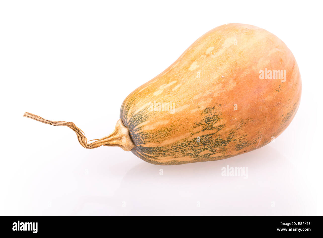 squash isolated on white background Stock Photo - Alamy