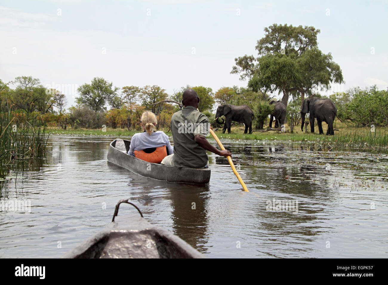 Mokoro canoe elephant hi-res stock photography and images - Alamy