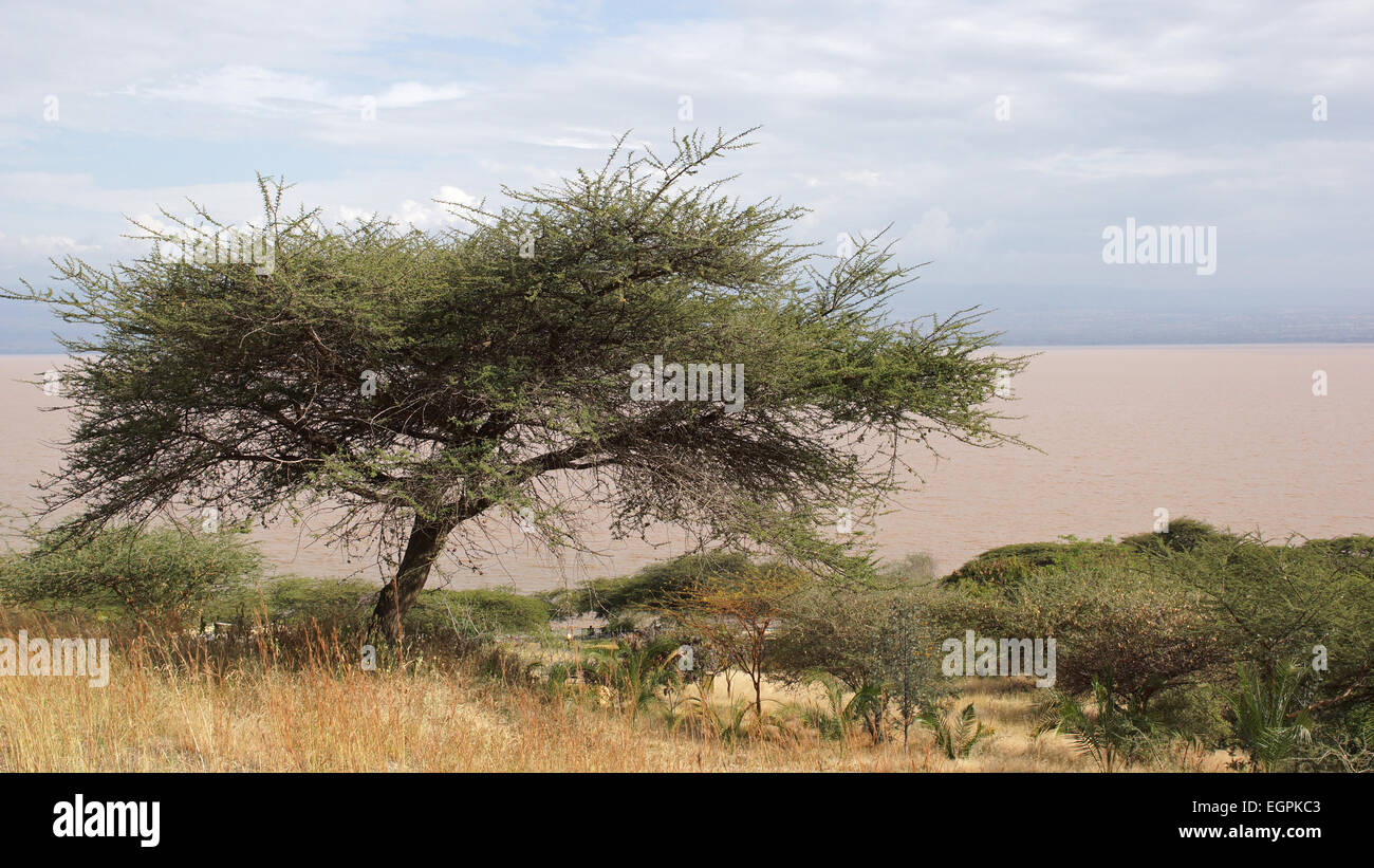 Langano Lake in the South of Ethiopia, Africa Stock Photo - Alamy