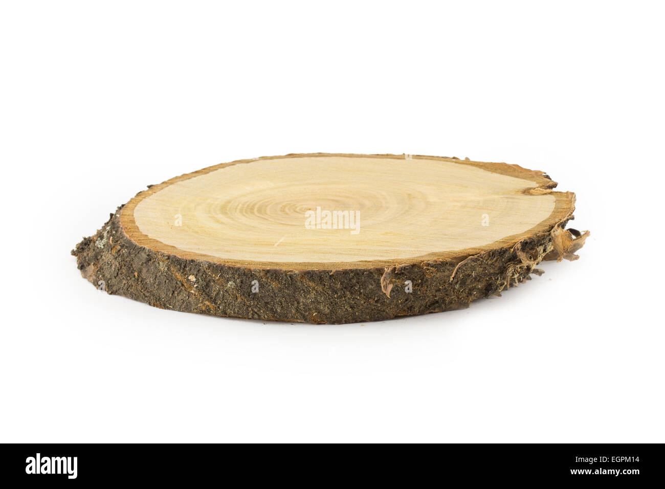 close-up wooden cut texture Stock Photo - Alamy