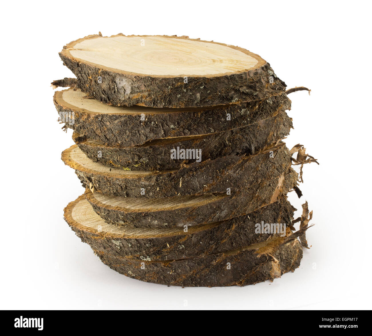 close-up wooden cut texture Stock Photo - Alamy