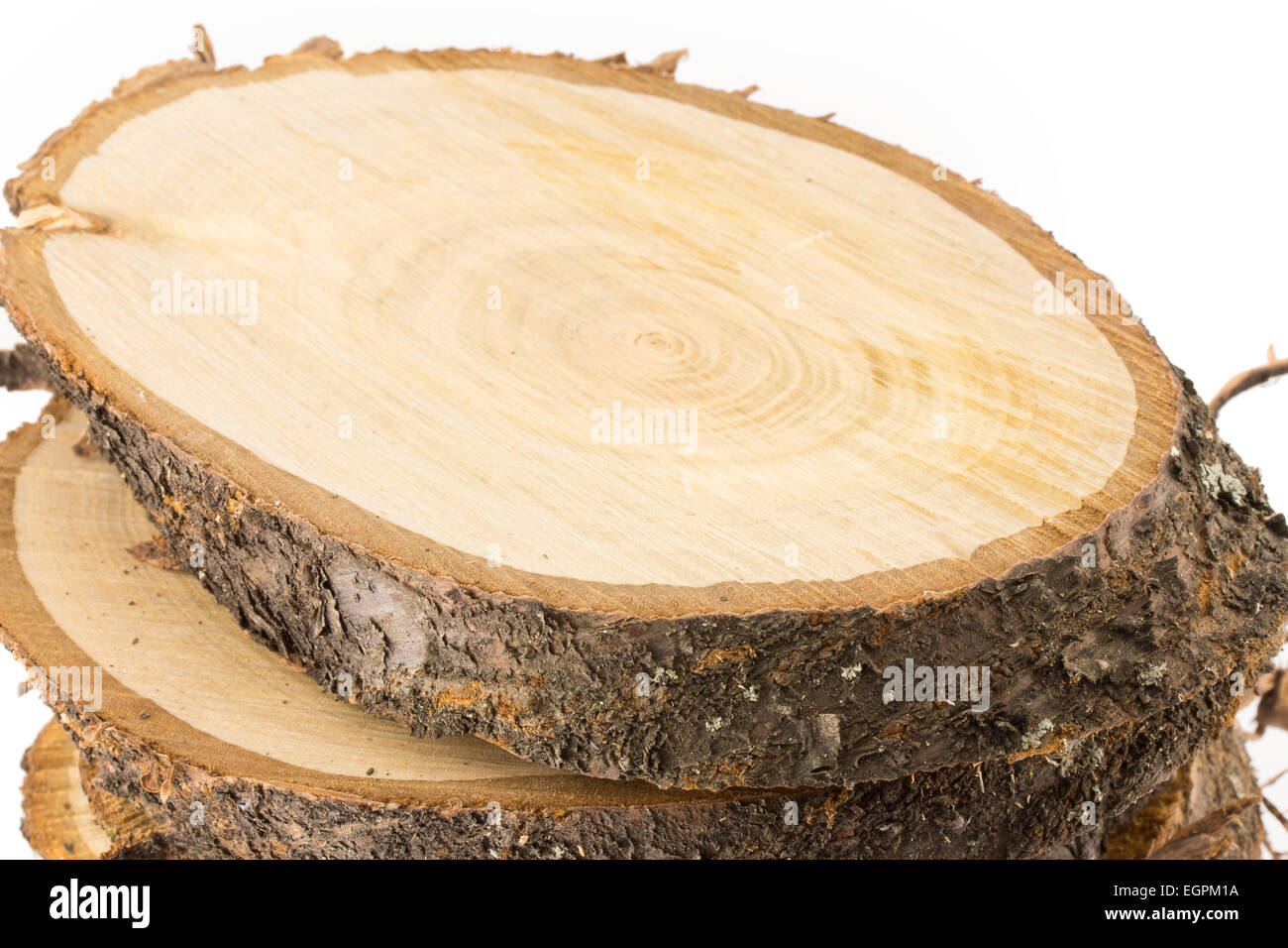 close-up wooden cut texture Stock Photo - Alamy