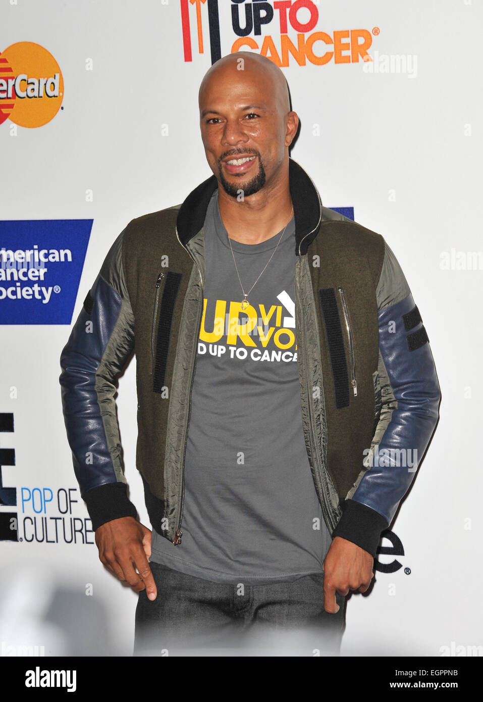LOS ANGELES, CA - SEPTEMBER 5, 2014: Common at the 2014 Stand Up To ...