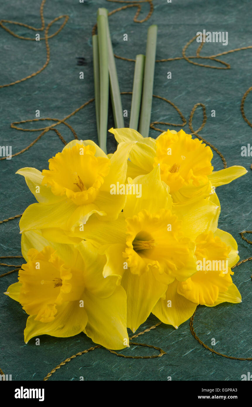 Yellow jonquil flowers on green background Stock Photo - Alamy