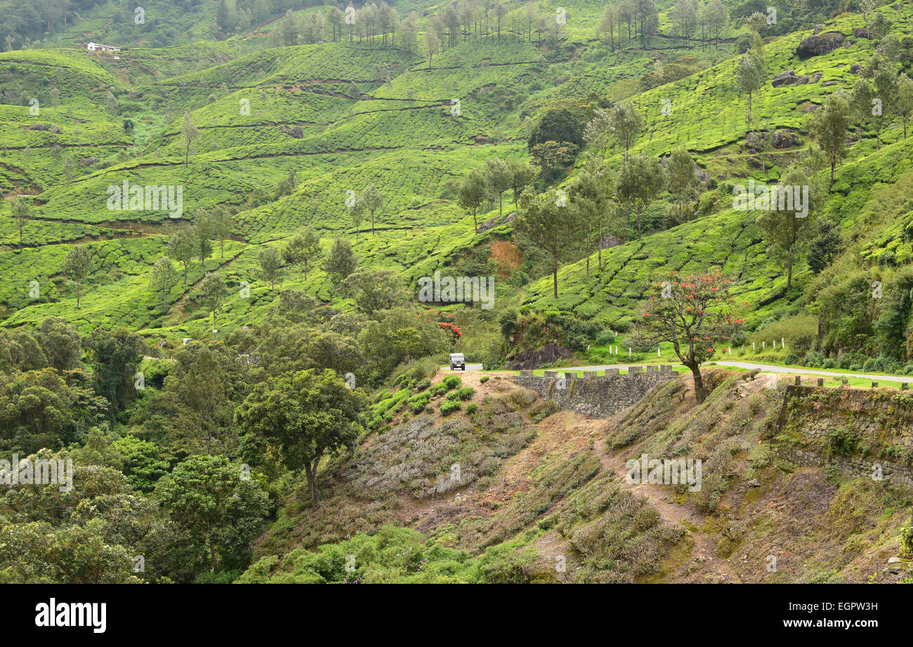 Jeep on munnar hi-res stock photography and images - Alamy