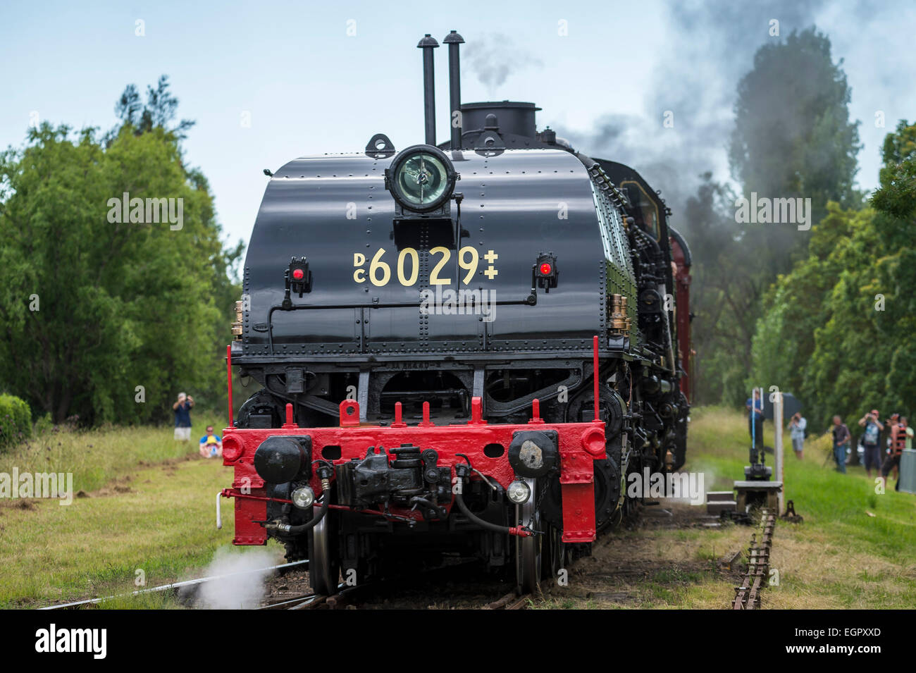 Sydney, Australia. 1st March, 2015. The gigantic 260t Beyer-Garratt ...