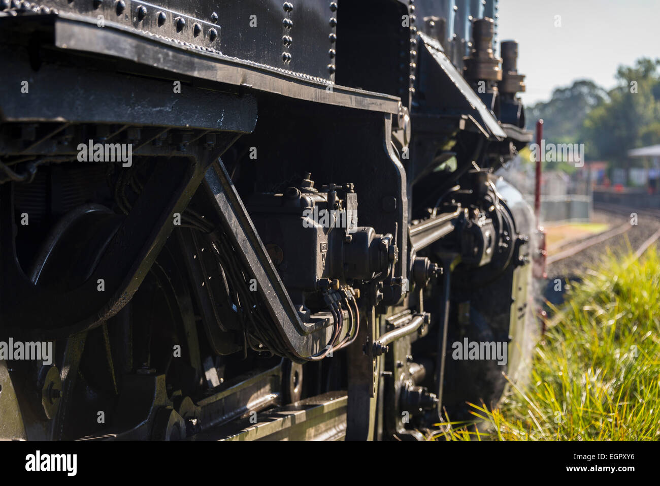 Sydney, Australia. 1st March, 2015. Beyer-Garratt locomotive 6029 'City ...