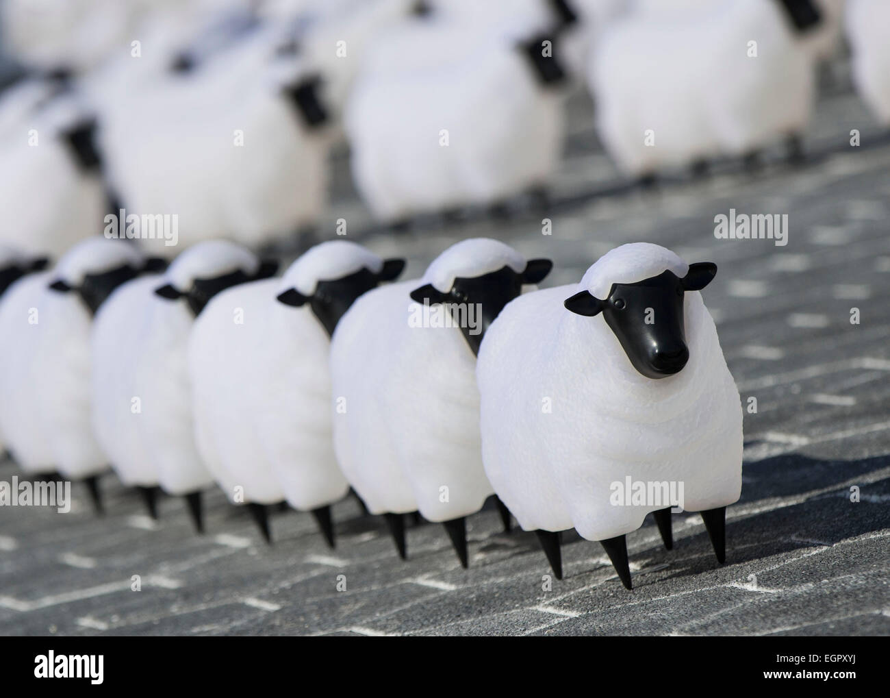 Toronto, Canada. 28th Feb, 2015. Hundreds of sheep lanterns are on ...