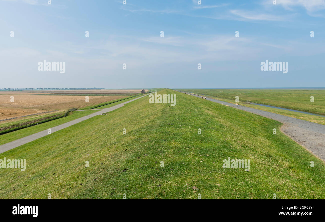 Grass dike in Groningen with wide landscap and blue sky Stock Photo - Alamy