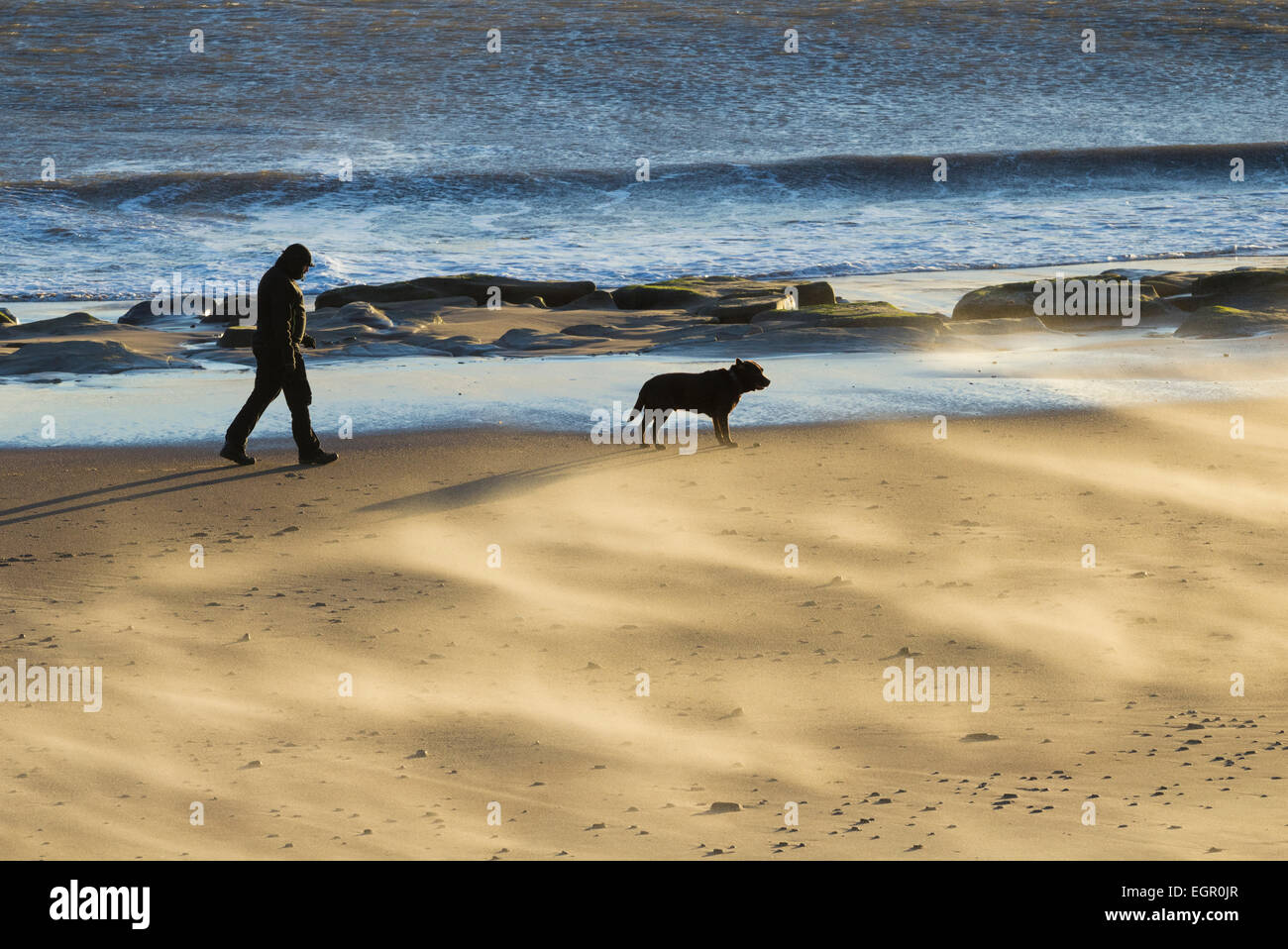 Windy weather dog hi-res stock photography and images - Alamy