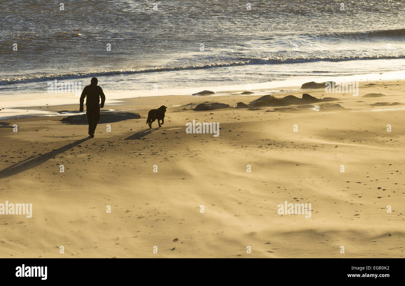 Windy weather dog hi-res stock photography and images - Alamy