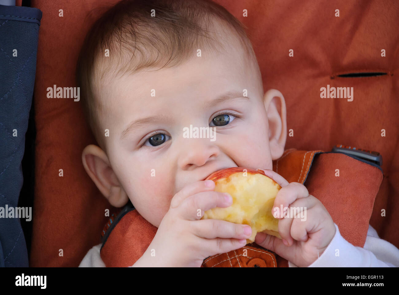 Baby boy eats an apple model released Stock Photo - Alamy