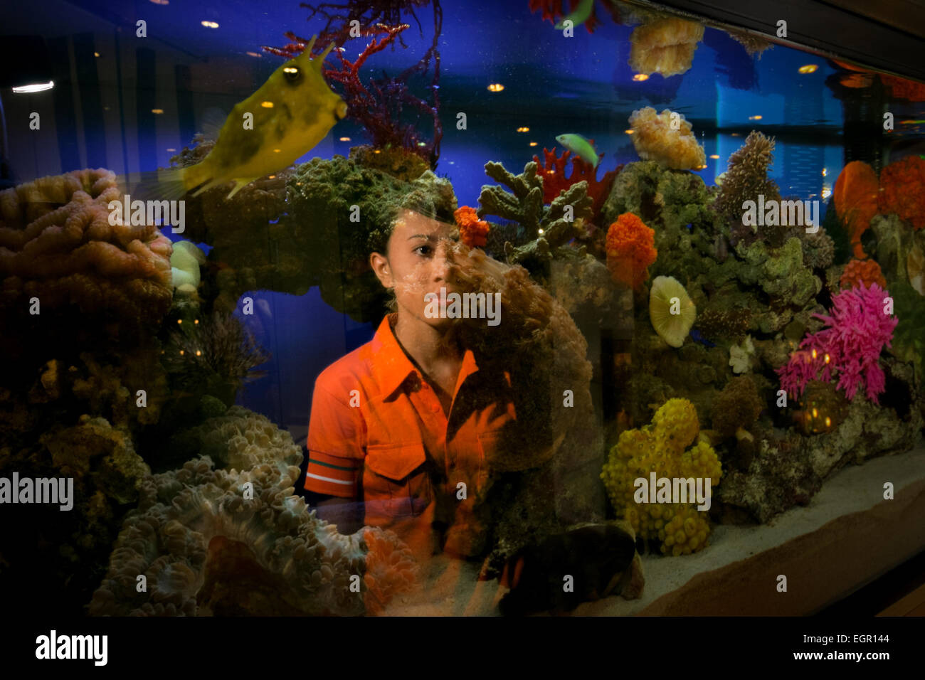 Aquaria hi-res stock photography and images - Alamy