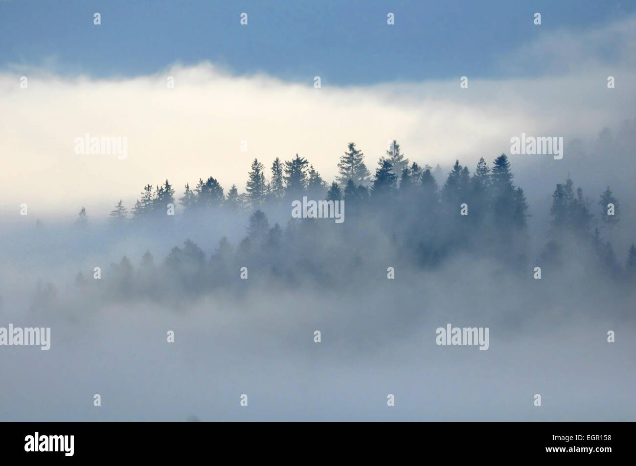 Mist weather hi-res stock photography and images - Alamy