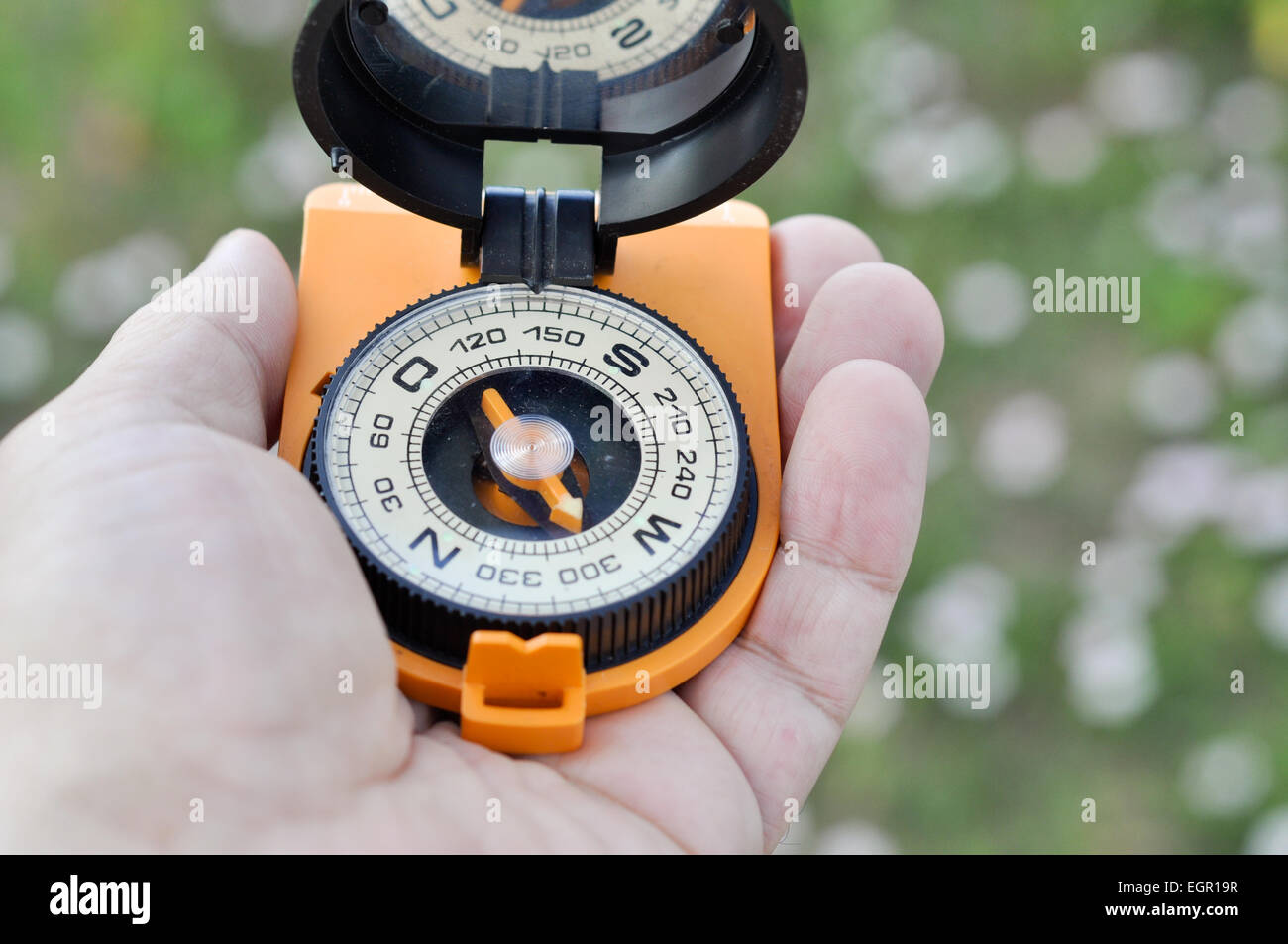 The compass in his hand. Magnetic compass in hand on the green meadows ...