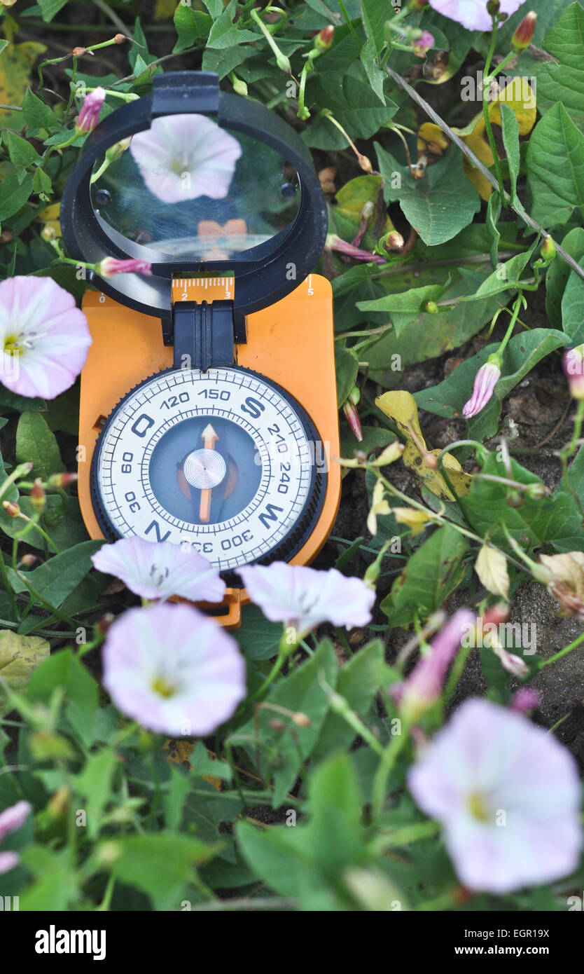 Compass grass magnet adventure hi-res stock photography and images - Alamy