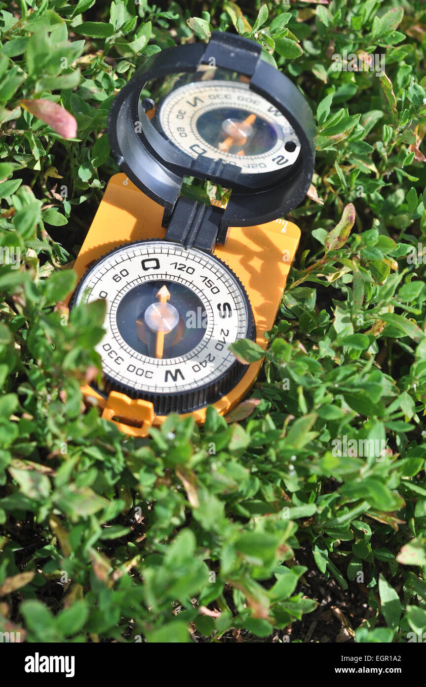 Compass in the grass. The magnetic compass is green grass on the meadow ...