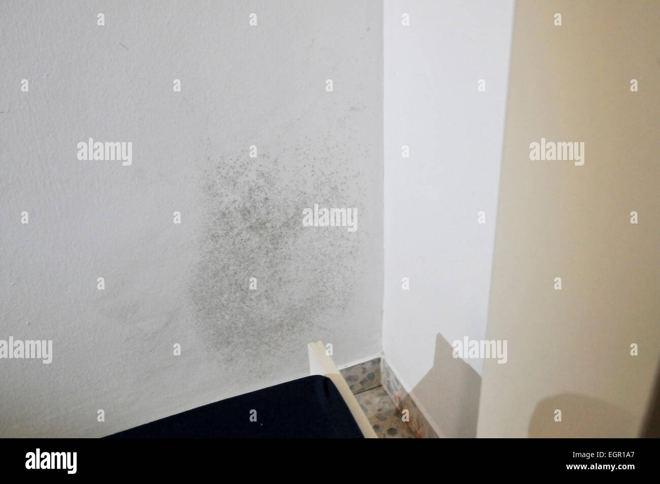 Mold grows on a bedroom wall due to dampness Stock Photo - Alamy