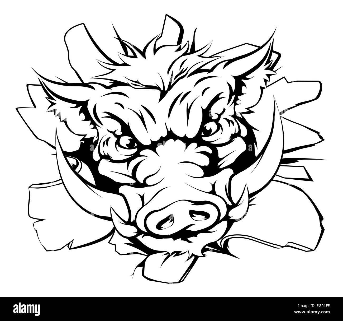 Boar head illustration hi-res stock photography and images - Alamy