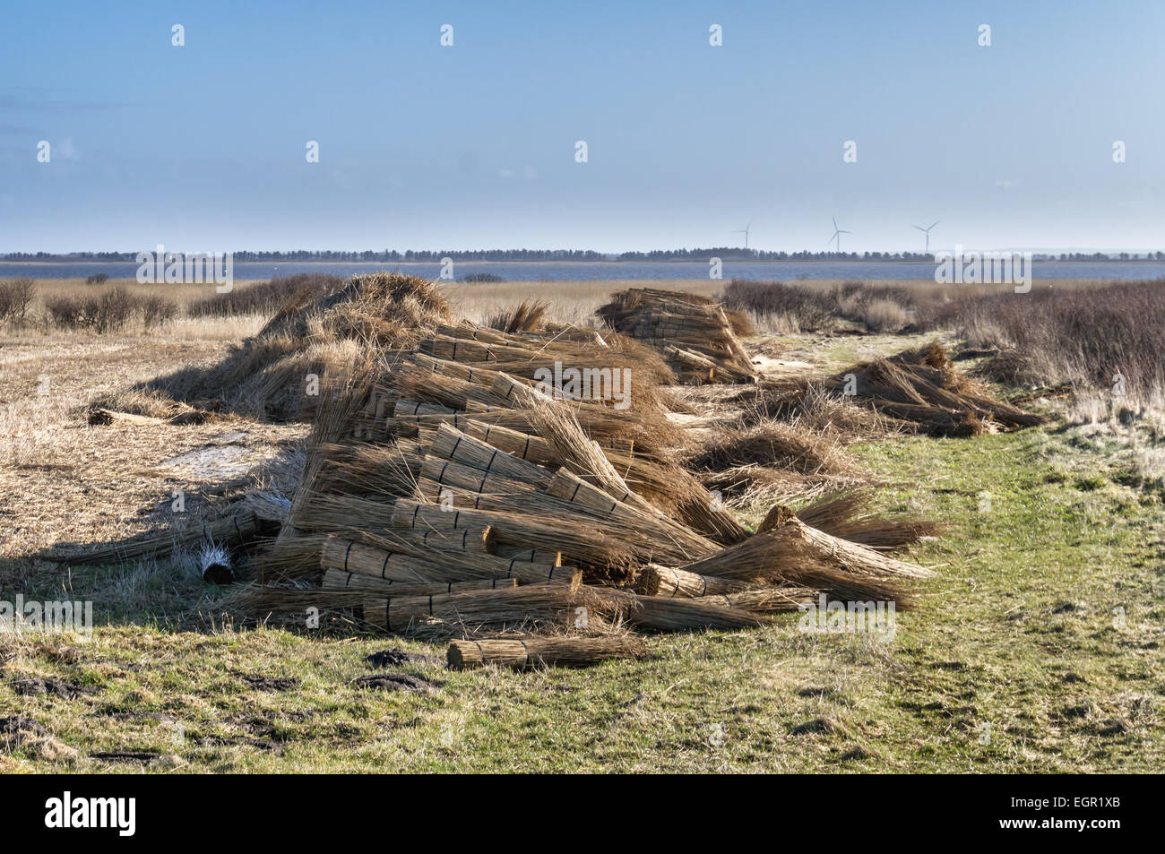 Straw thatch hi-res stock photography and images - Alamy