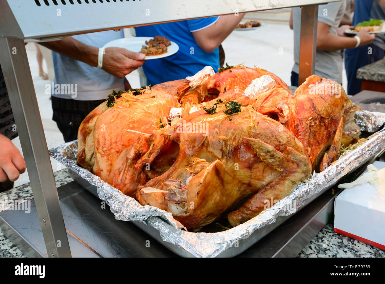 Biggest Cooked Turkey In The World