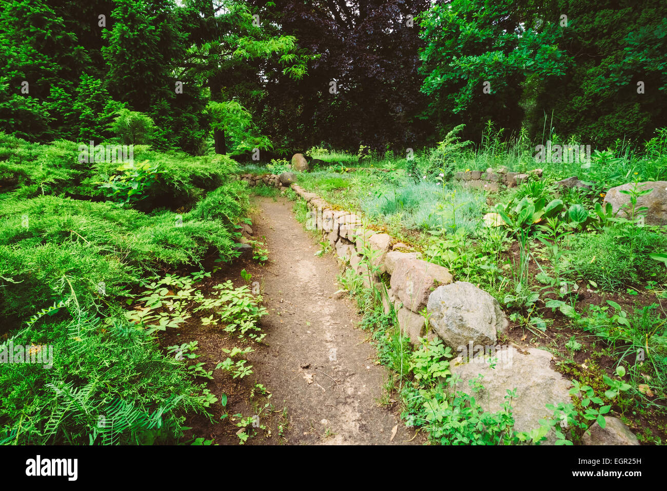 Walkway Lane Path With Green Trees And Bushes In Garden. Beautiful ...