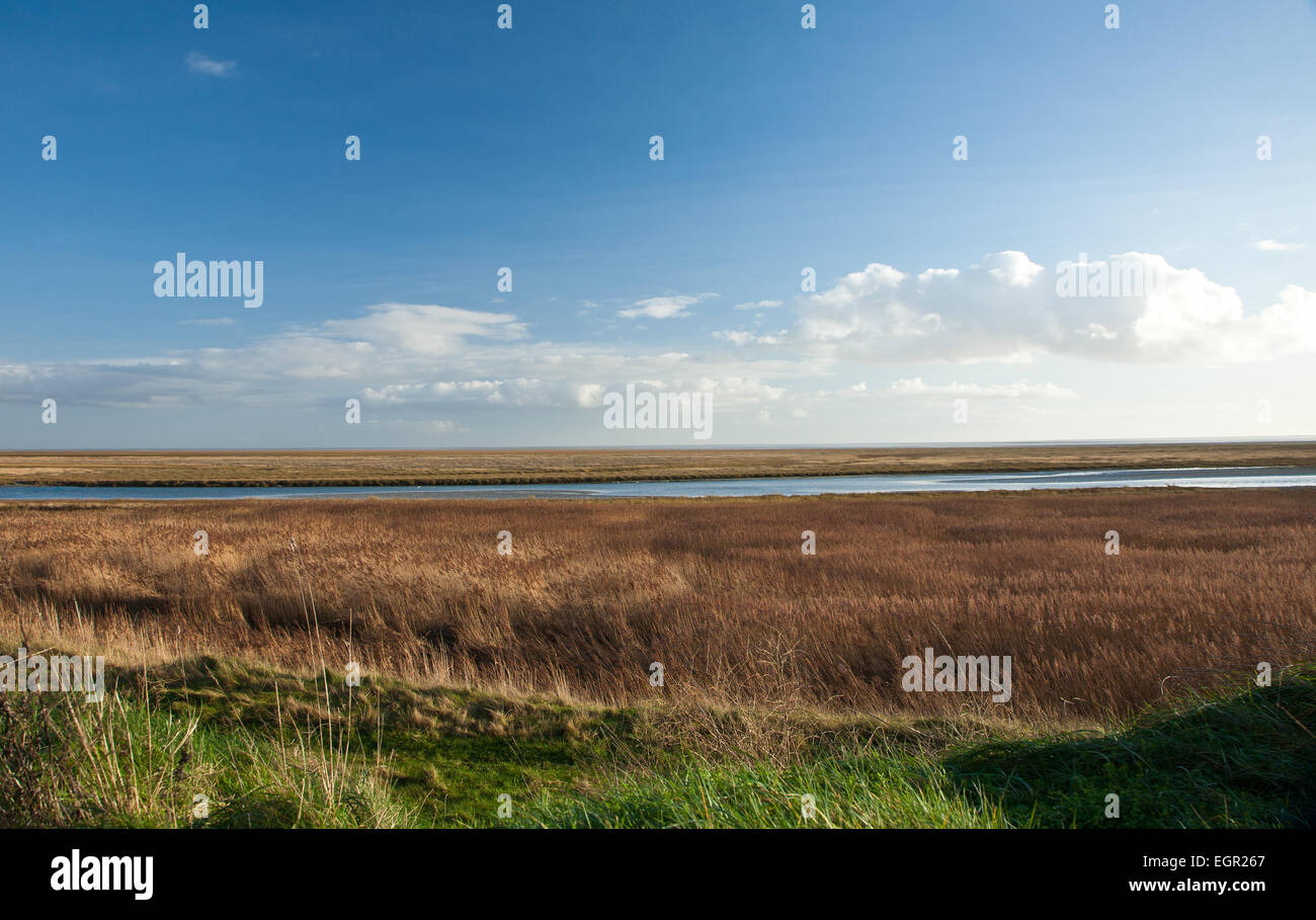 Island of Fanoe in Denmark Stock Photo - Alamy