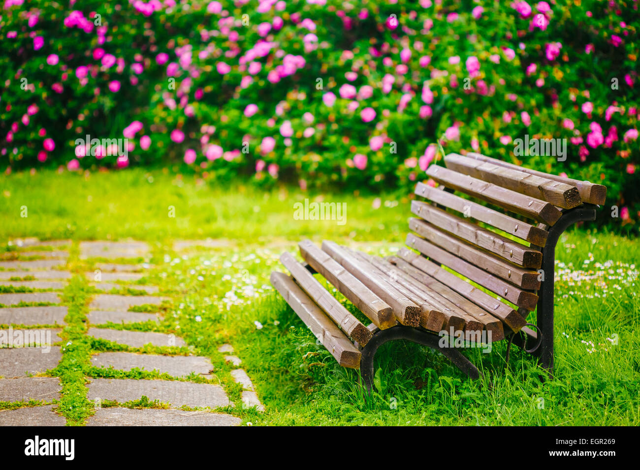Bench design hi-res stock photography and images - Alamy