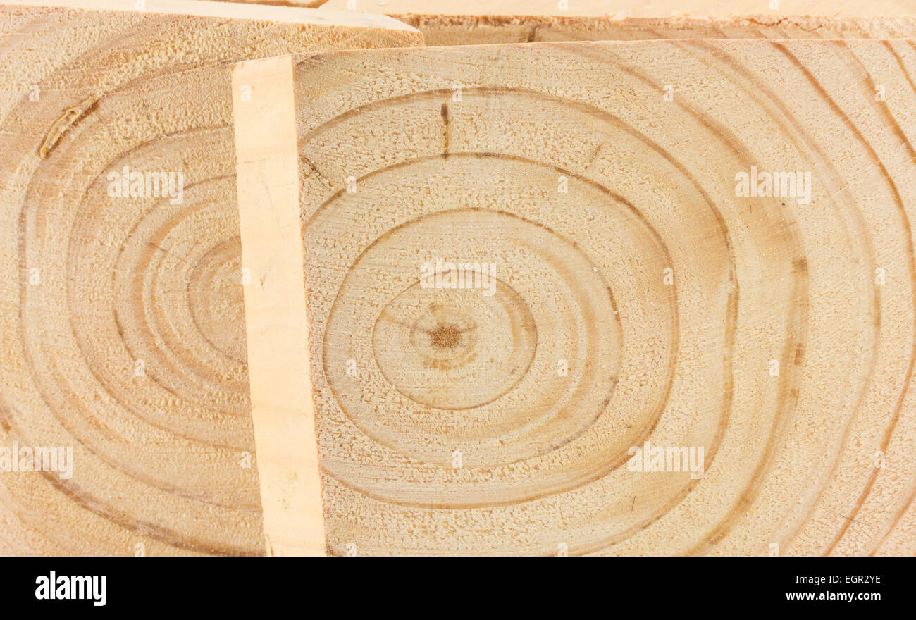 close-up wooden cut texture Stock Photo - Alamy