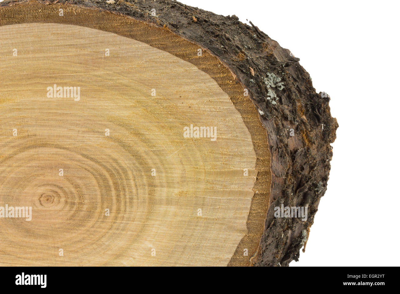 close-up wooden cut texture Stock Photo - Alamy