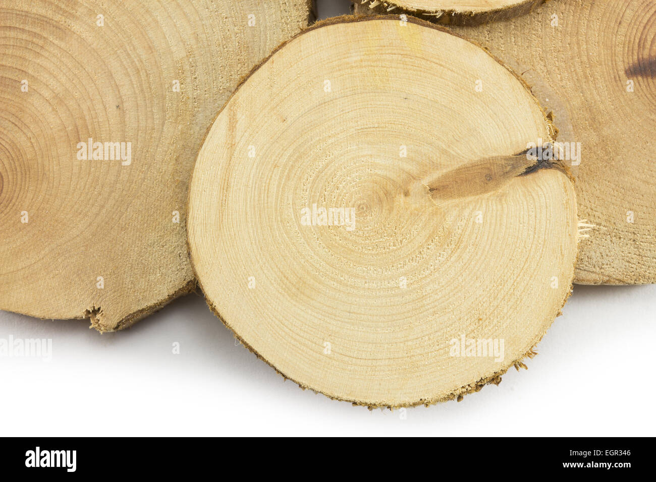 close-up wooden cut texture Stock Photo - Alamy