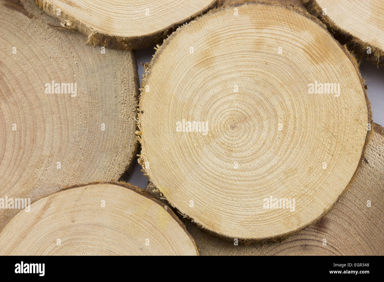 close-up wooden cut texture Stock Photo - Alamy