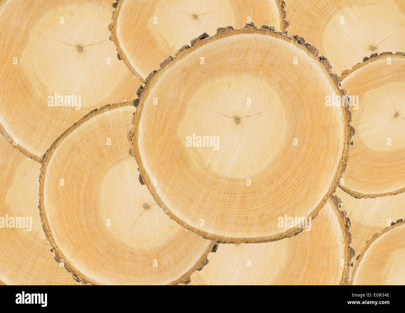 close-up wooden cut texture Stock Photo - Alamy