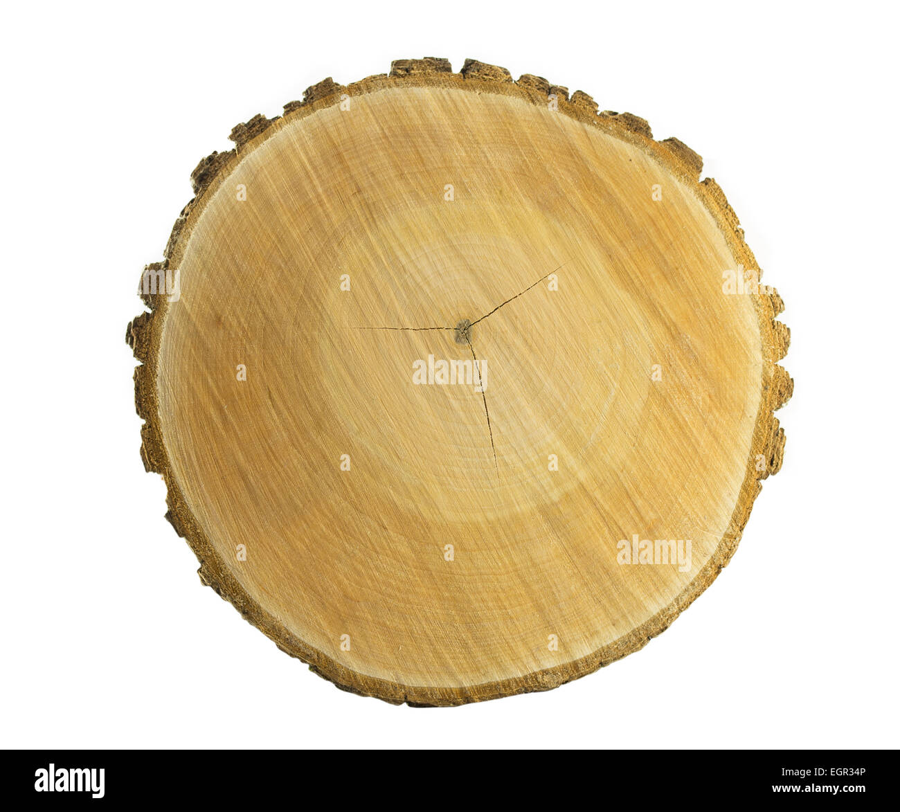 close-up wooden cut texture Stock Photo - Alamy
