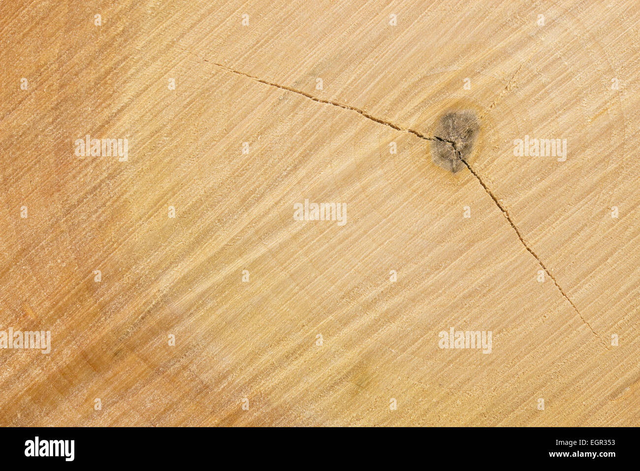 close-up wooden cut texture Stock Photo - Alamy