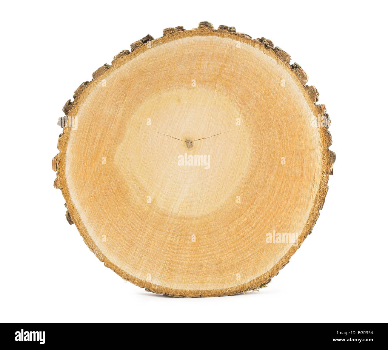 close-up wooden cut texture Stock Photo - Alamy