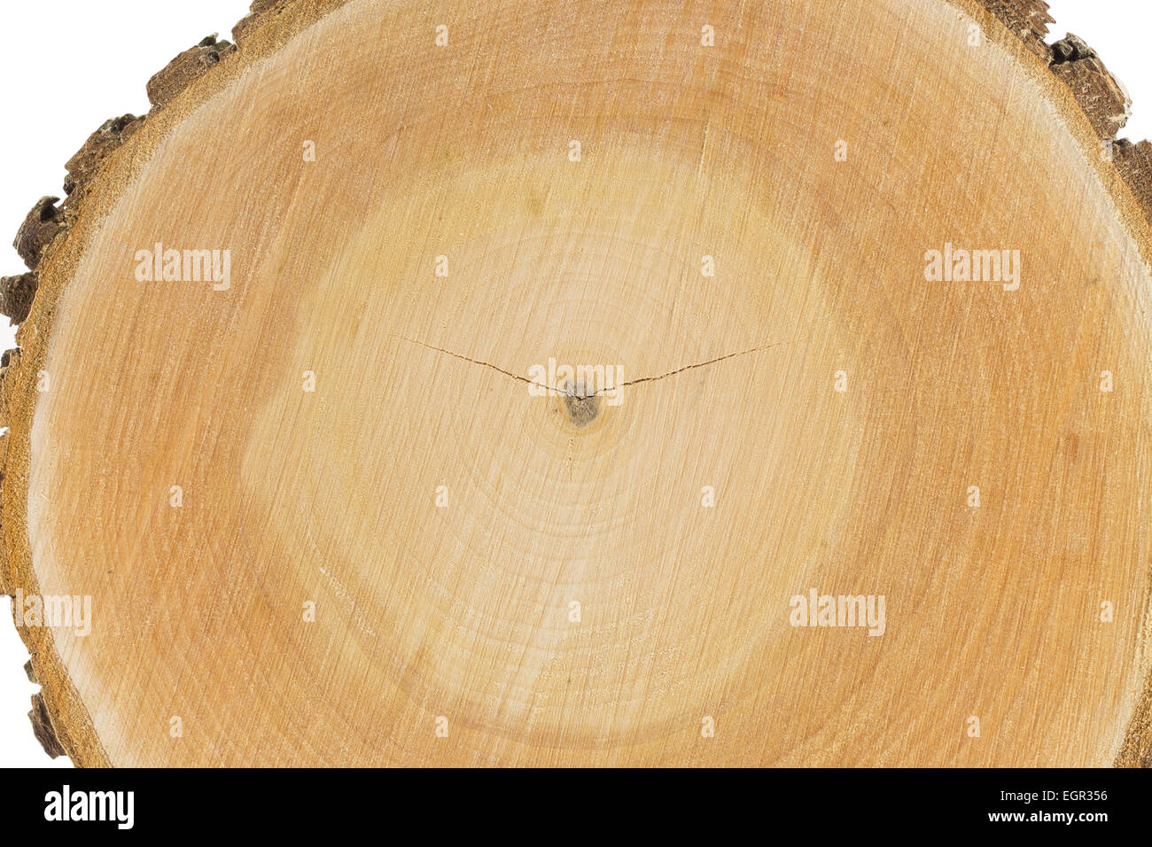 close-up wooden cut texture Stock Photo - Alamy