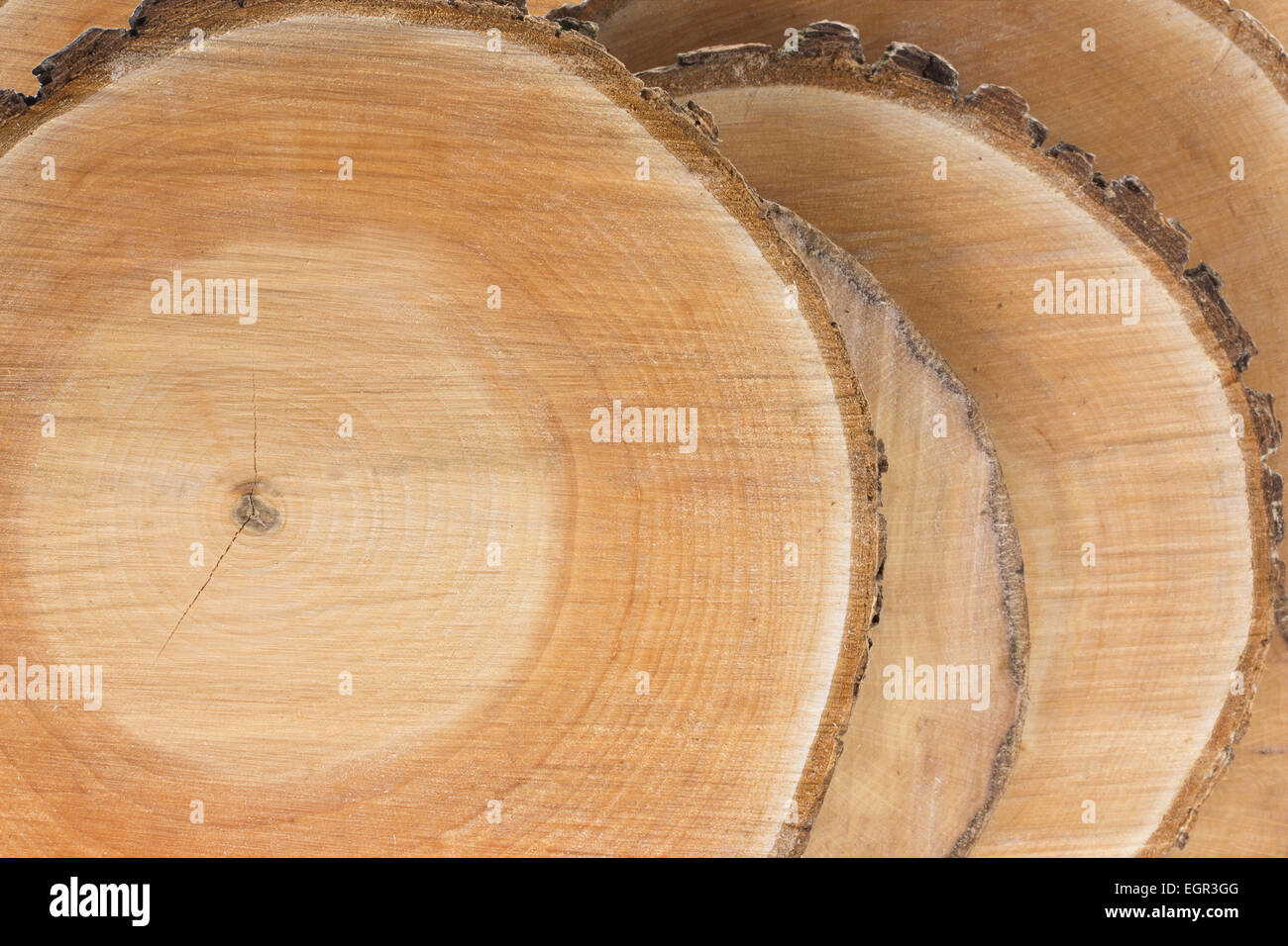 close-up wooden cut texture Stock Photo - Alamy