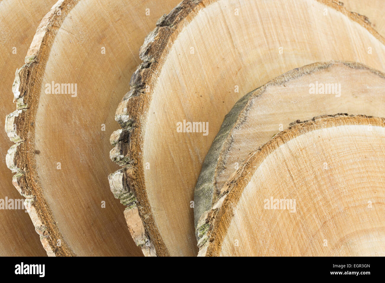 close-up wooden cut texture Stock Photo - Alamy