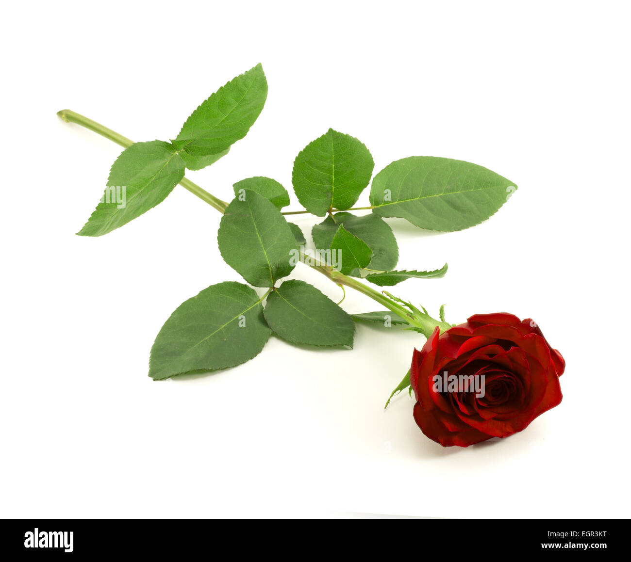 Long garden view Cut Out Stock Images & Pictures - Alamy