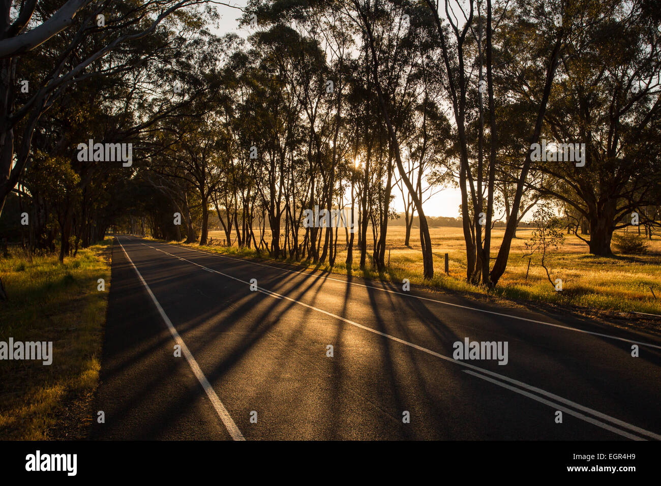 Australian country road sunset hi-res stock photography and images - Alamy