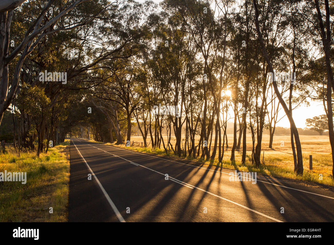 Australian country road hi-res stock photography and images - Alamy